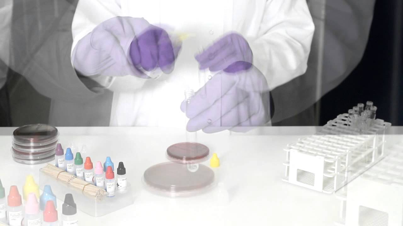Thermo Scientific PathoDxtra Strep Grouping Kit