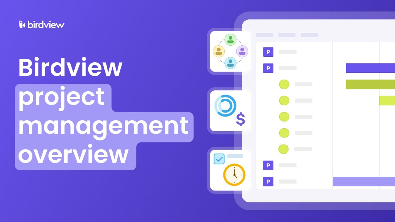 Birdview Project Management Overview