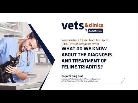 13. INT - What do we know about the diagnosis and treatment of feline triaditis?