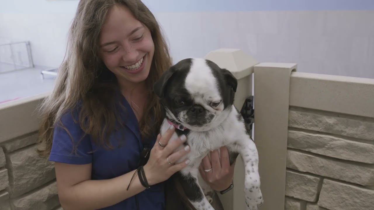 K9 Resorts of Virginia Beach Virtual Tour