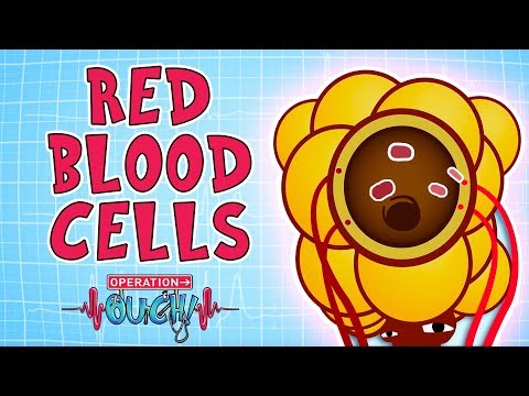 Operation Ouch - Red Blood Cells | Biology Facts for Kids