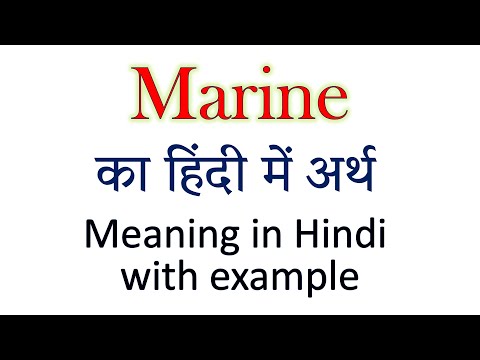 Marine meaning in Hindi | Explained Marine With Using Sentence