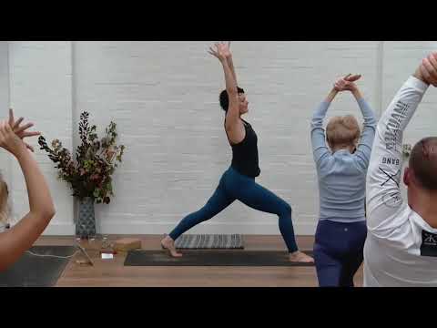 What is Yoga? What is Hatha Yoga? Vinyasa? Yin Yoga?