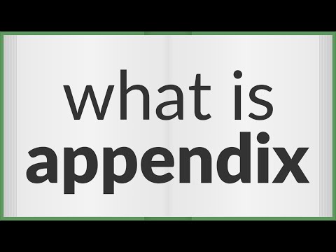 Appendix | meaning of Appendix