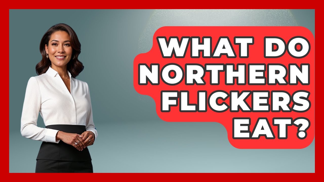What Do Northern Flickers Eat? - Bird Watching Diaries