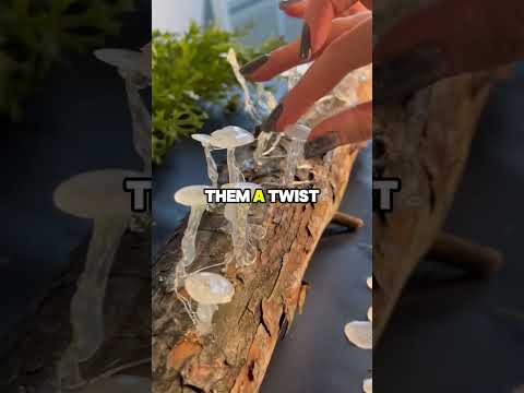 DIY Mushroom Fairy Lights!