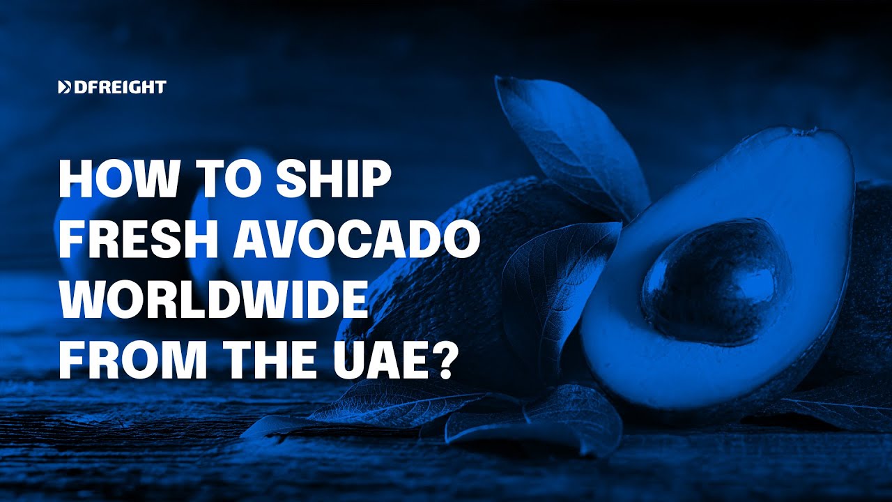 How To ship Fresh Avocado Worldwide From the UAE?