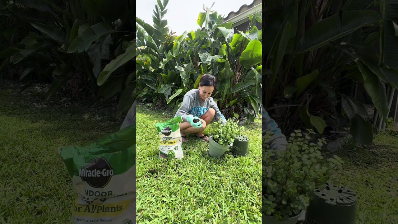 Honoring Earth Day Mindfully #earthday #wellness #plants #mindfulness #motherearth