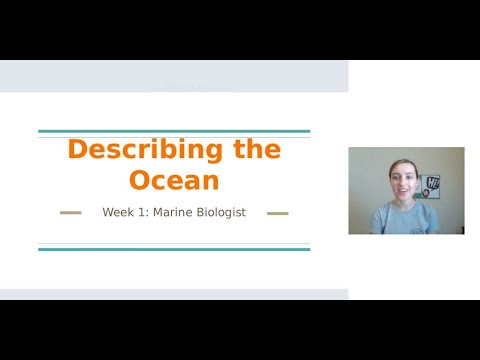Describing the Ocean 3 5