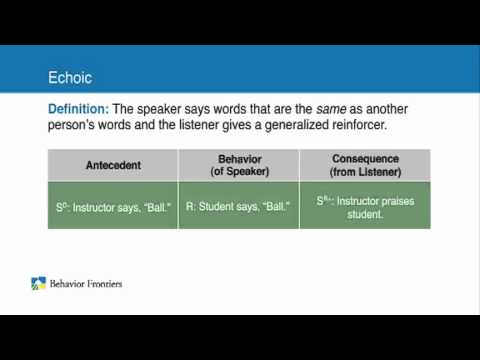 Verbal Behavior - Autism Therapy Video