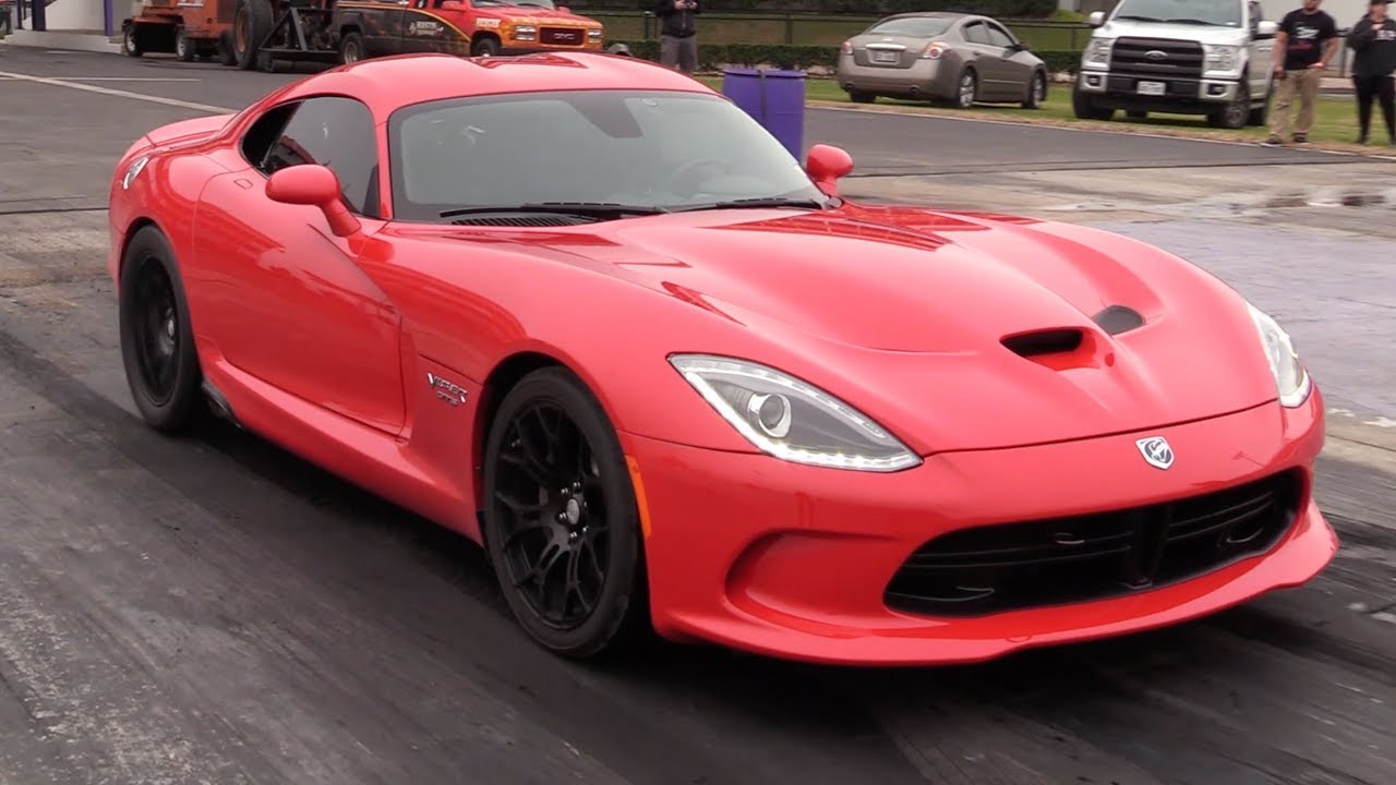 Beautiful 10 Second Viper