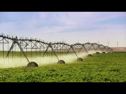 Proof You Know What You're Doing - Valley Irrigation