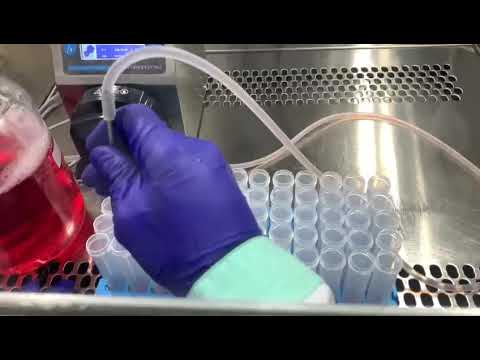 Filling Pump at Best Price in India