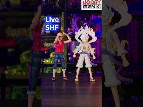 Size & Scale ! Gear 5 Luffy S.H.Figuarts #onepiece #gear5