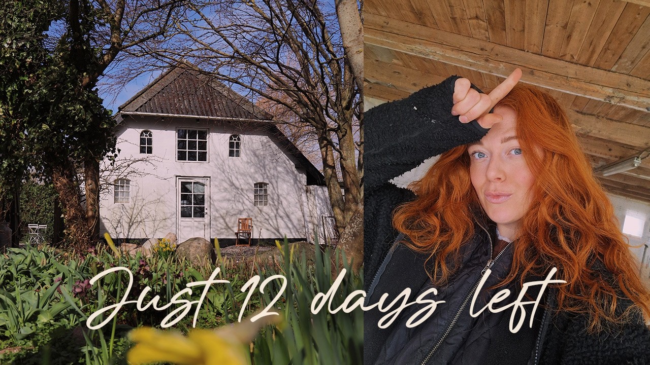 12 days left... will my dream studio be ready?