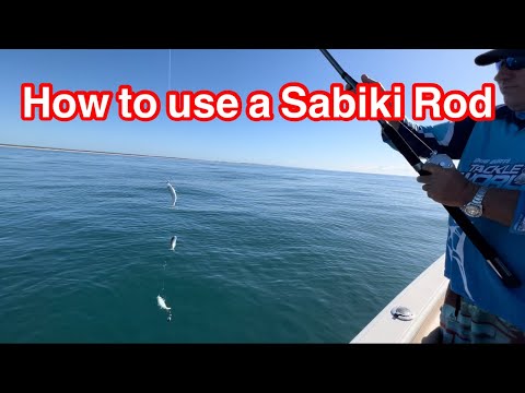 Easiest way on how to catch lots of live baits, using a Sabiki Rod correctly
