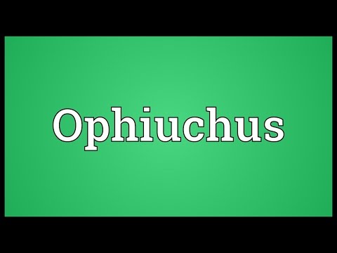 Ophiuchus Meaning