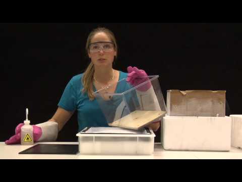 How to Make Your Own Particle Detector | 15 Minute Fun