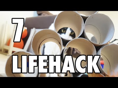 Home | Safe Cat Safe Wildlife