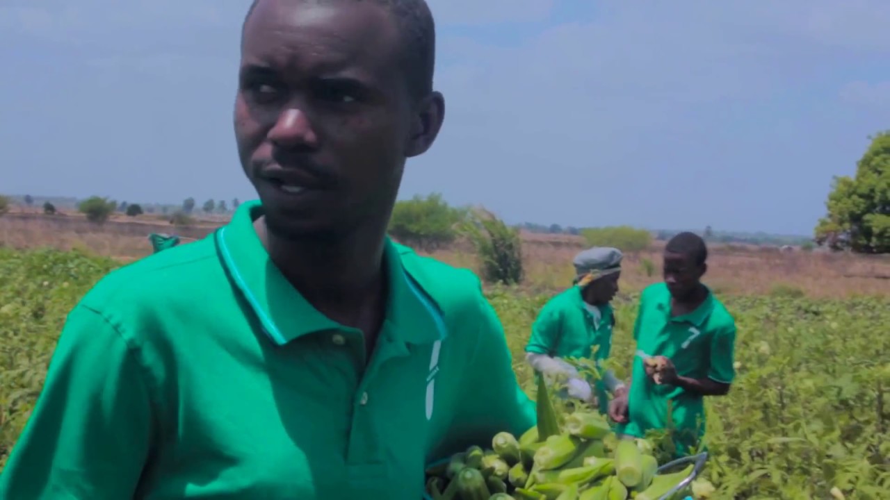 Sokoni Farm Fresh Ltd | F6S