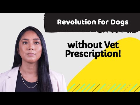 Revolution for Dogs Without Vet Prescription: Easy Parasite Protection!