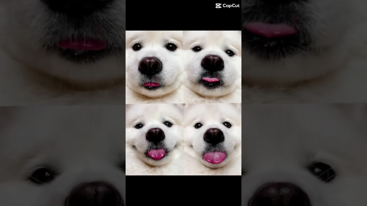 Goodbye 2023 welcome 2024… (template)