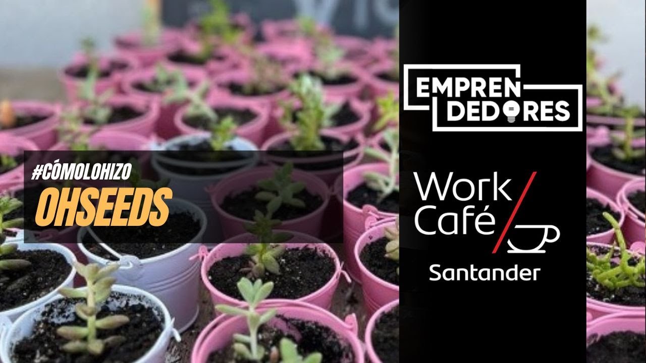 #CómoLoHizo: OhSeeds se luce con regalos corporativos sustentables