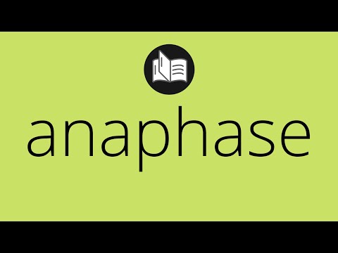 What ANAPHASE means • Meaning of ANAPHASE • anaphase MEANING • anaphase DEFINITION