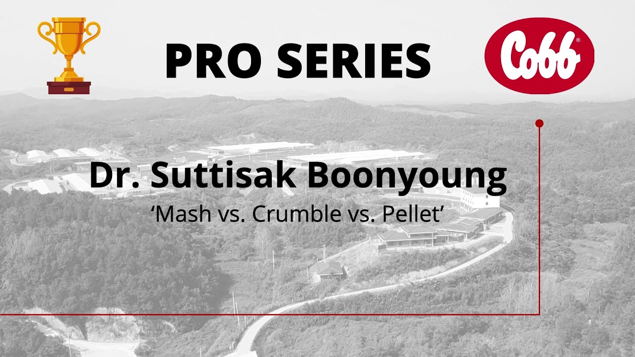 Mash vs. Crumble vs. Pellet - Dr. Suttisak Boonyoung