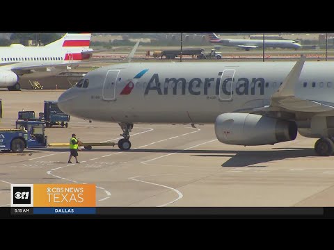 American Airlines passengers can now bring a pet, full-sized carry-on