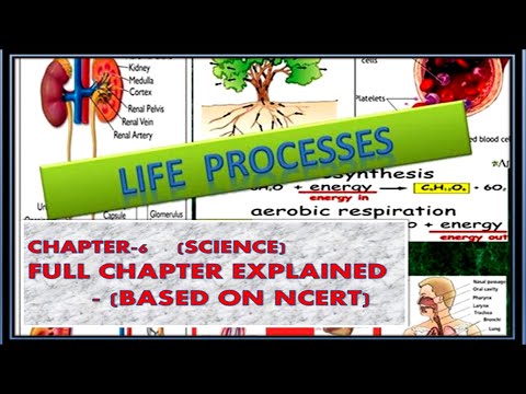 CLASS 10th , SCIENCE , CHAPTER-6 (LIFE PROCESSES). FULL CHAPTER PPT.