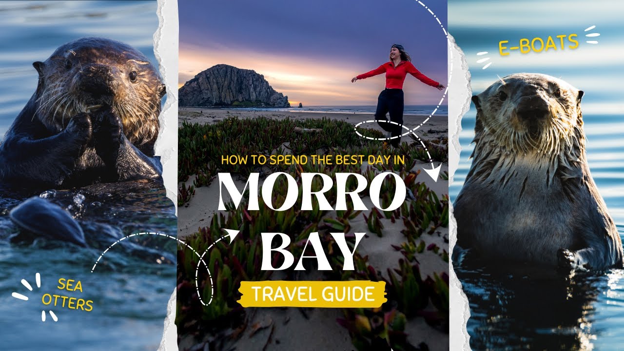 How to spend the BEST day in Morro Bay: Sea Otter Paradise!