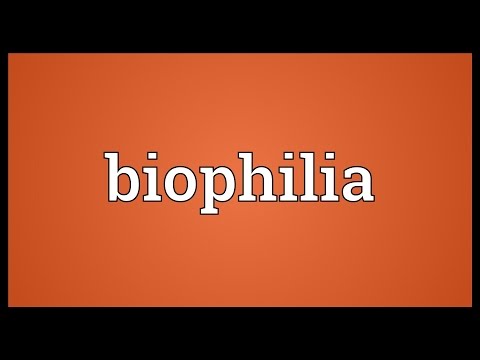 Biophilia Meaning