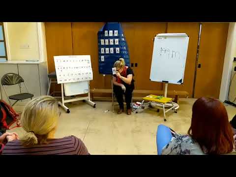 Read, Write Inc. Phonics - Reception Taster