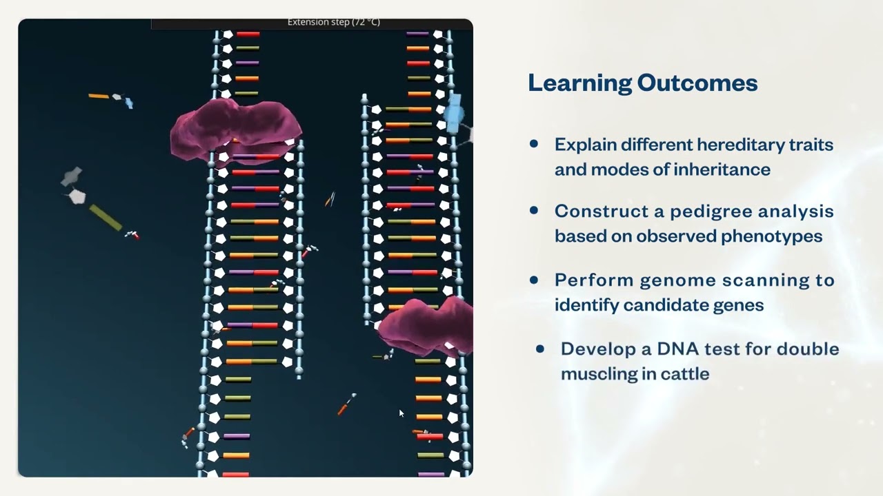 Animal Genetics | Virtual Lab