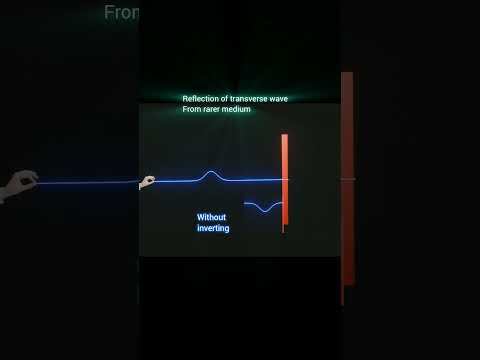 Reflection of transverse wave from rarer medium|| #physics #science #physicsanimation