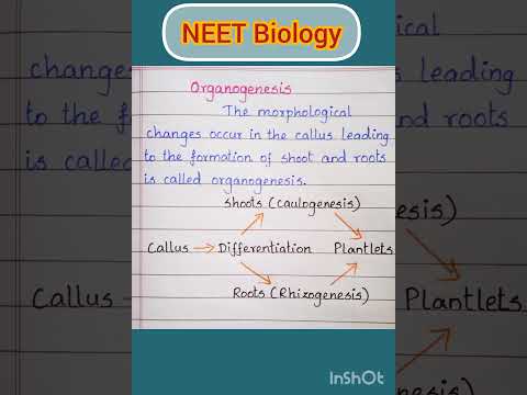 NEET Biology #shortsfeed #neet #neetbiology #callus #plant