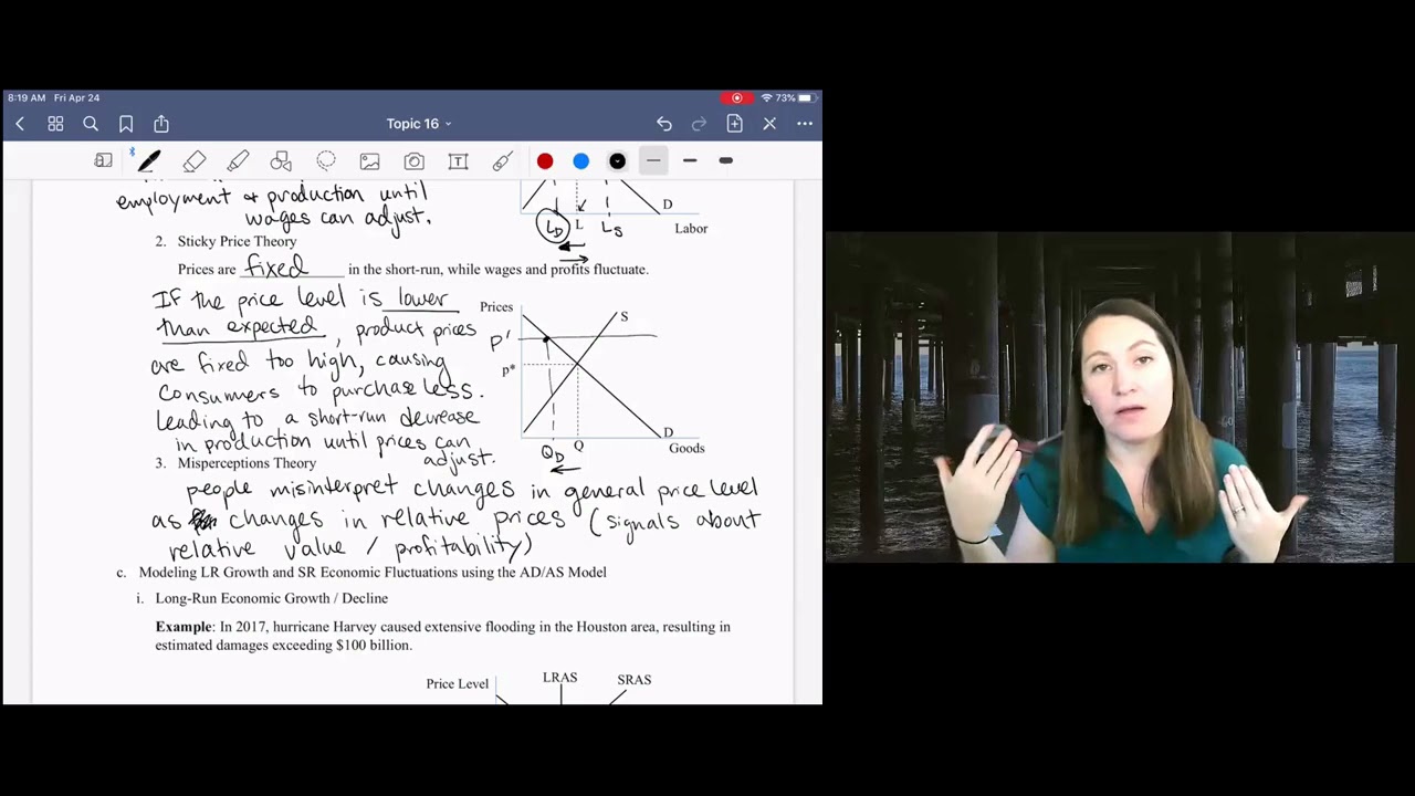 13.17 Misperceptions Theory