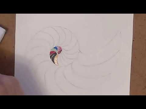 Watch Me Paint a Nautilus Shell in Watercolor