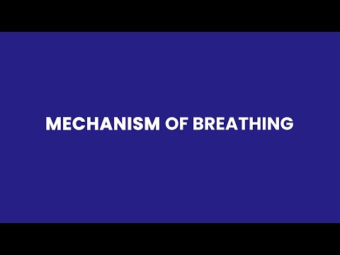 Mechanism of Breathing (Full Lesson)