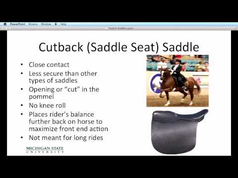 English Saddles and Accessories