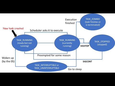 Operating Systems (Smruti R. Sarangi): Process States in Linux (Chap 3, Part I)