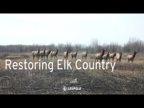 Restoring Elk Country - Brushlands Treatment MN