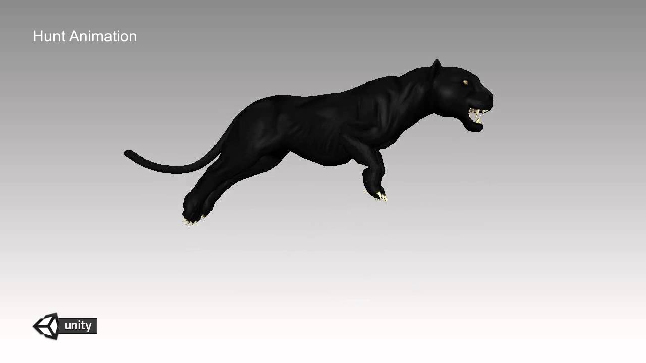 Panther Animations Demo