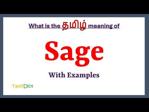Sage Meaning in Tamil | Sage in Tamil | Sage in Tamil Dictionary |