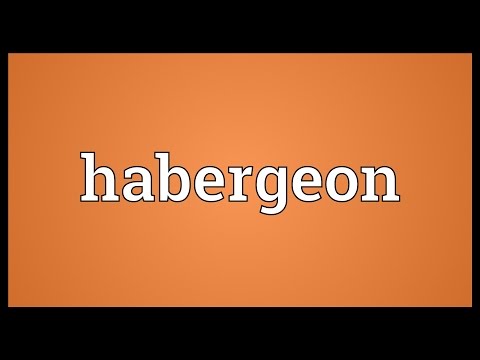 Habergeon Meaning