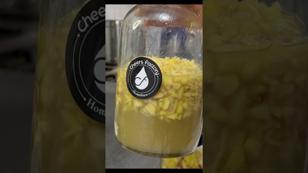 GINGER SODA - Sustituto casero y saludable para los refrescos (refresco de jengibre)