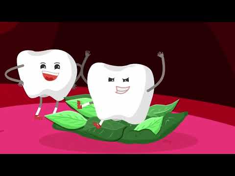 BBC Bitesize types of teeth