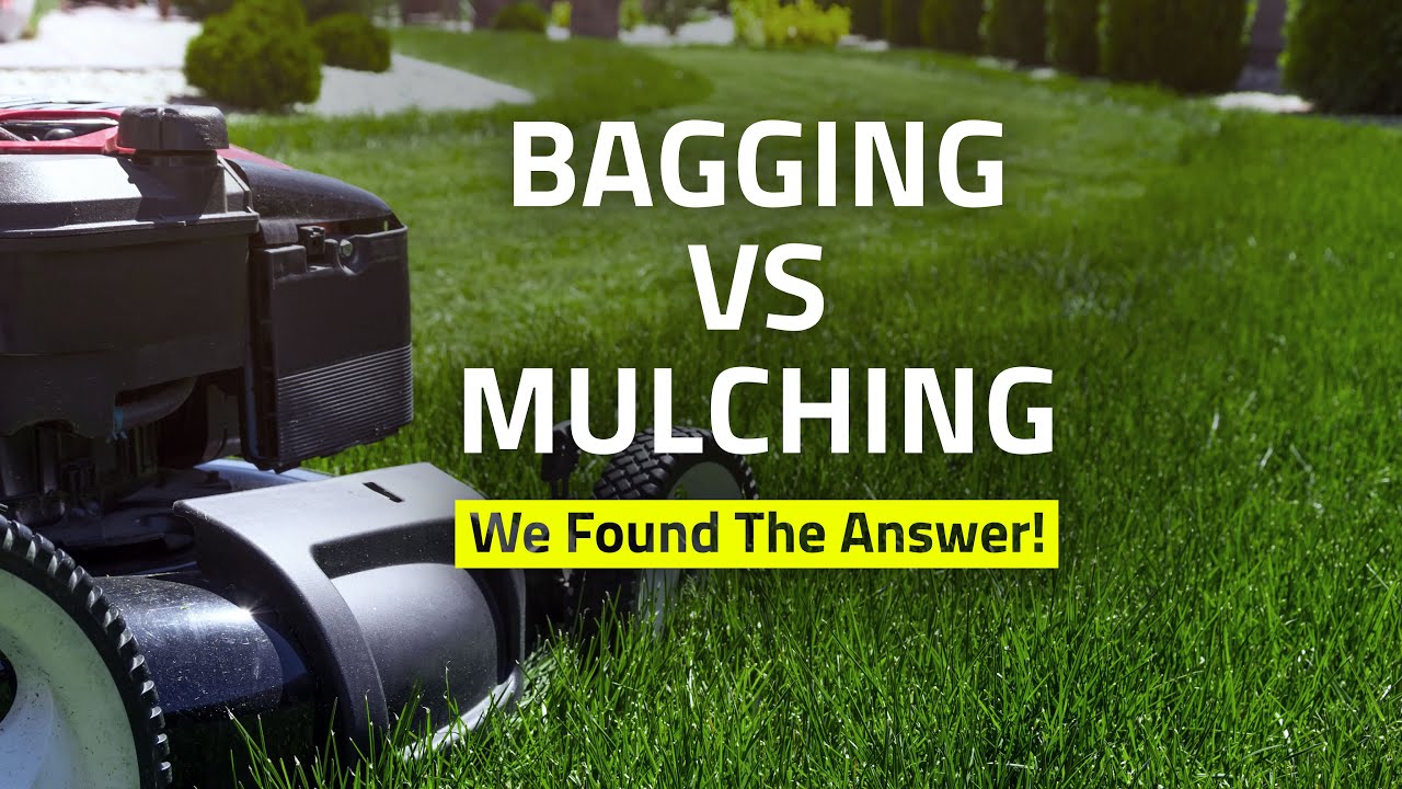 Mulching Vs. Bagging? What Should I do?