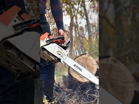 The Stihl 026 turned 30 years old. Here’s my stocker